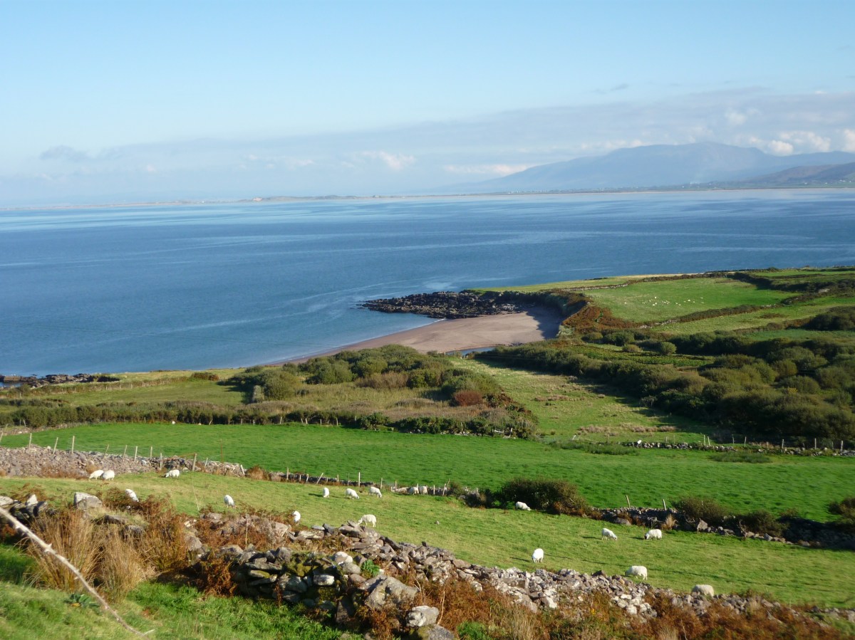 Dingle to Tralee: Scenic Route – Arrivals Hall