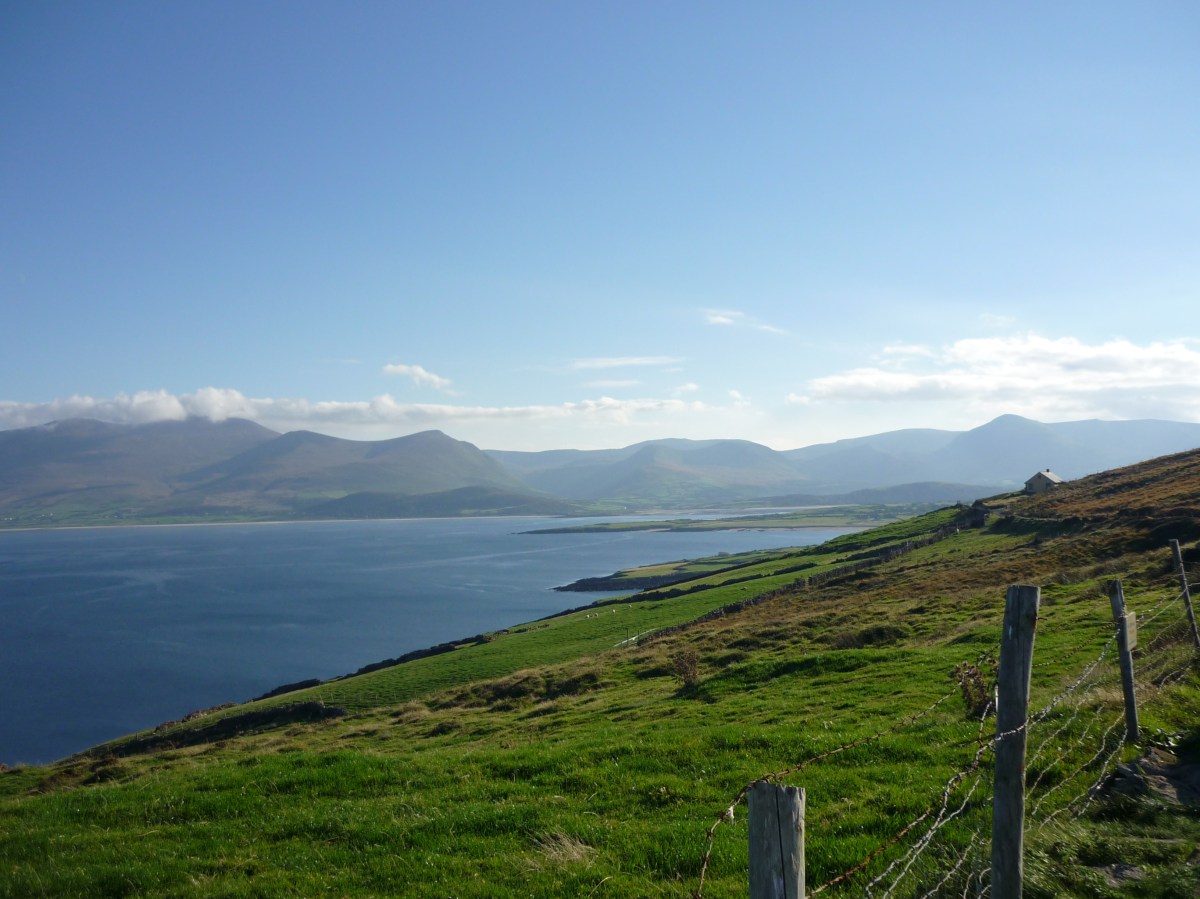 Dingle to Tralee: Scenic Route – Arrivals Hall